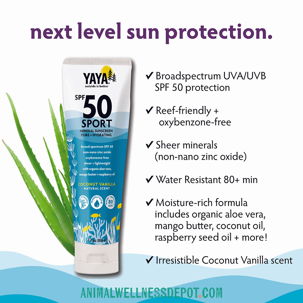 SPORT SPF 50 Mineral Sunscreen | AWD